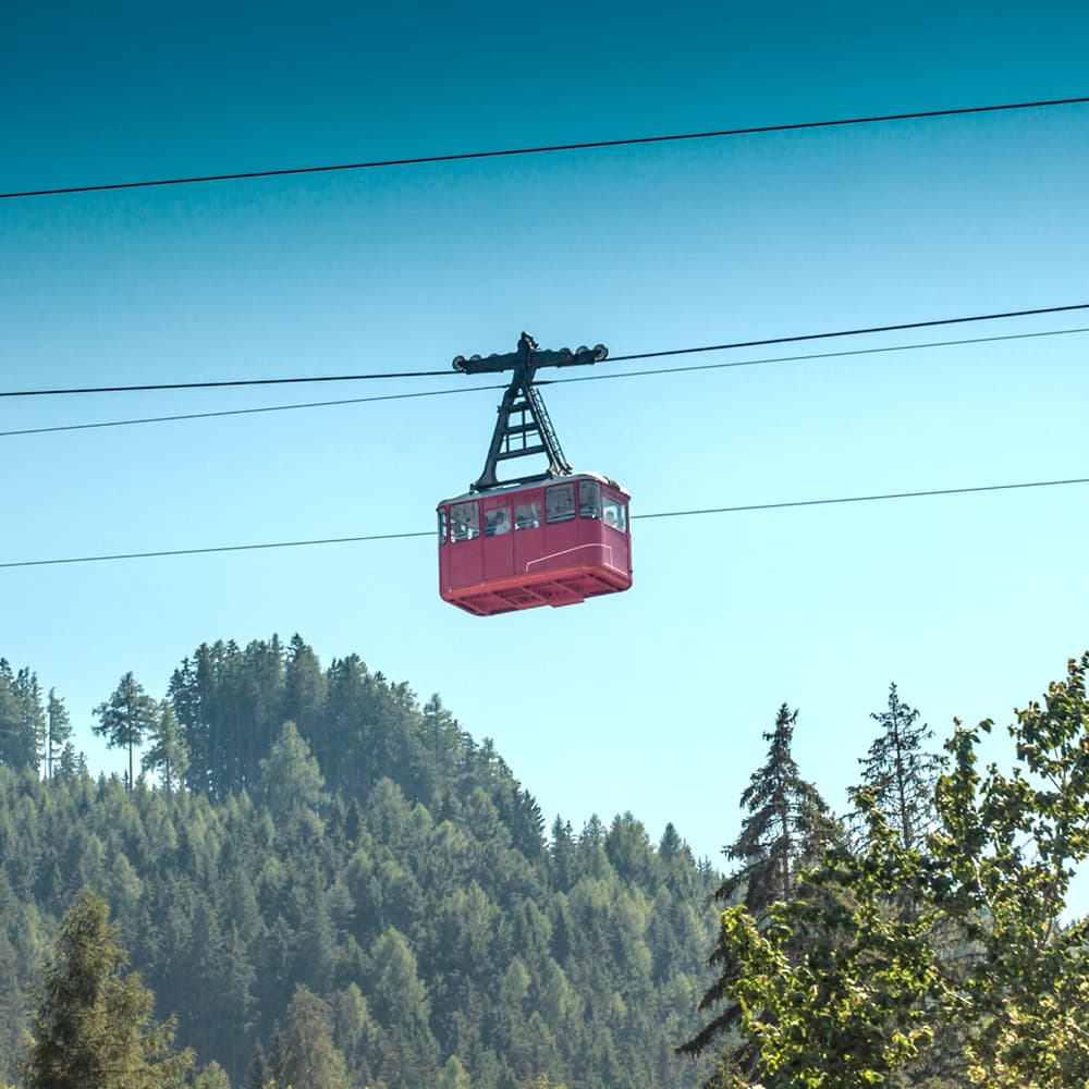 In the Area | Rocky Mountains Field Guide | Trailborn