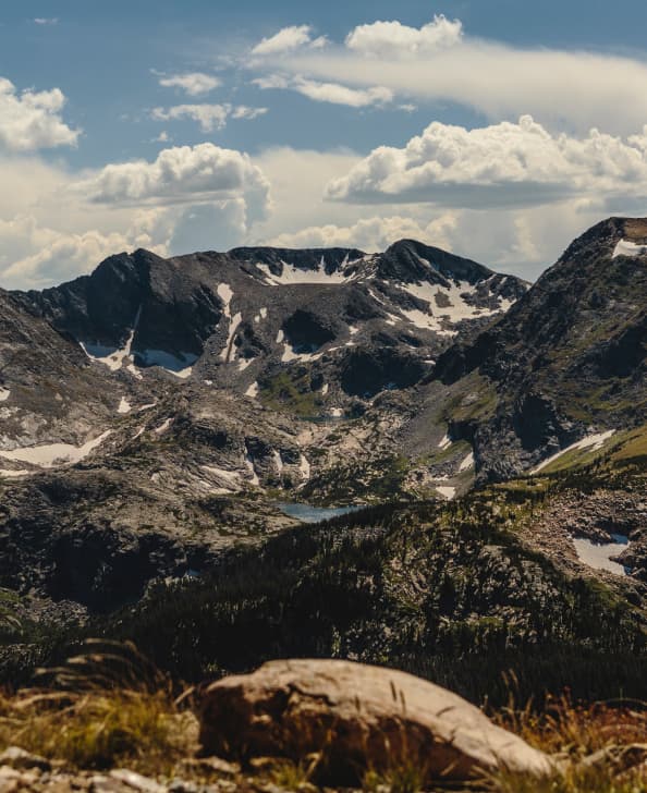 In the Area | Rocky Mountains Field Guide | Trailborn